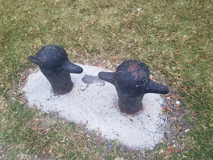 These unassuming bollards have secured countless vessels over decades, silent witnesses to generations of boaters discovering this island paradise.