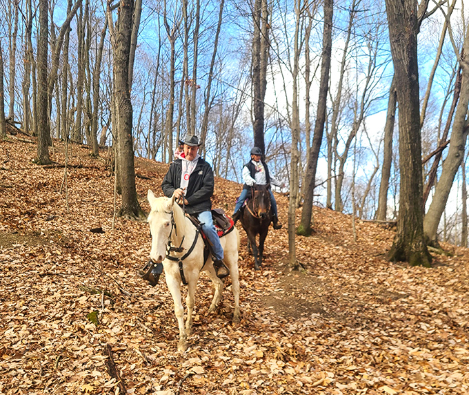 Horseback riding adds a touch of old-world exploration to modern trail adventures. These riders experience the forest the way early settlers once did.