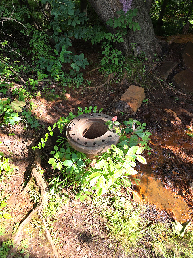 Industrial artifacts scattered throughout the area hint at the region's mechanical past.