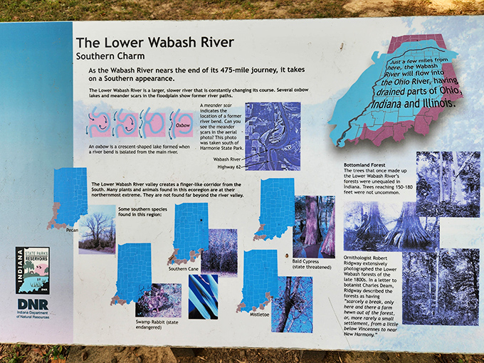 Nature's textbook&mdash;interpretive signs reveal the secrets of the Lower Wabash ecosystem, where southern charm meets Midwestern hospitality.