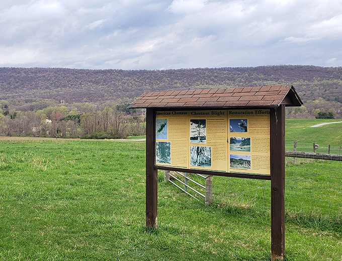 This unassuming sign holds the keys to understanding Boyd's ecosystem &ndash; like having a naturalist's brain available without the awkward small talk.