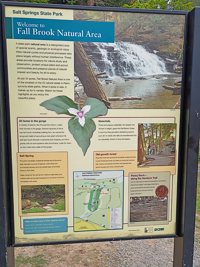 The informational sign reveals Fall Brook's secrets, though no placard can truly capture the feeling of standing before these cascading waters.