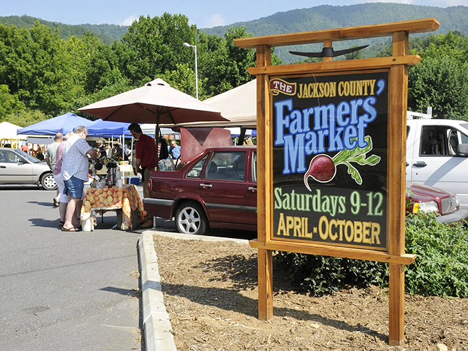 The Jackson County Farmers Market is where Saturday mornings taste better, with local farmers bringing mountain bounty straight to your table.