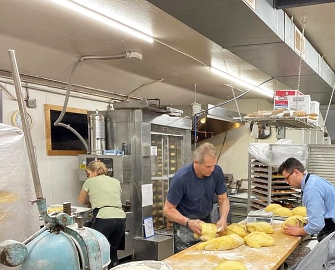 Behind-the-scenes magic where flour transforms into dreams. These bakers are the wizards of the culinary world.