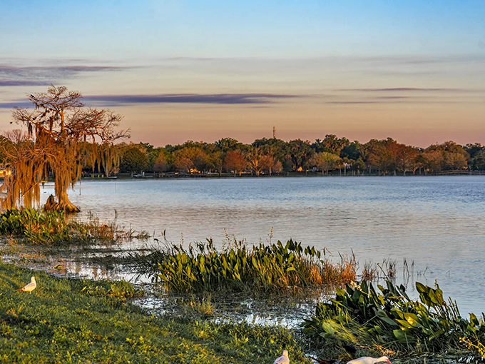 Lake Harris at sunset performs a daily color show that no admission ticket could possibly match. Nature's palette at its most extravagant.