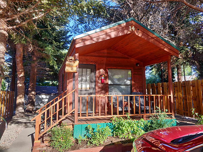 Cabin living doesn't get more authentic than this. Imagine downsizing to this pine-scented retreat where simplicity meets Sierra splendor.