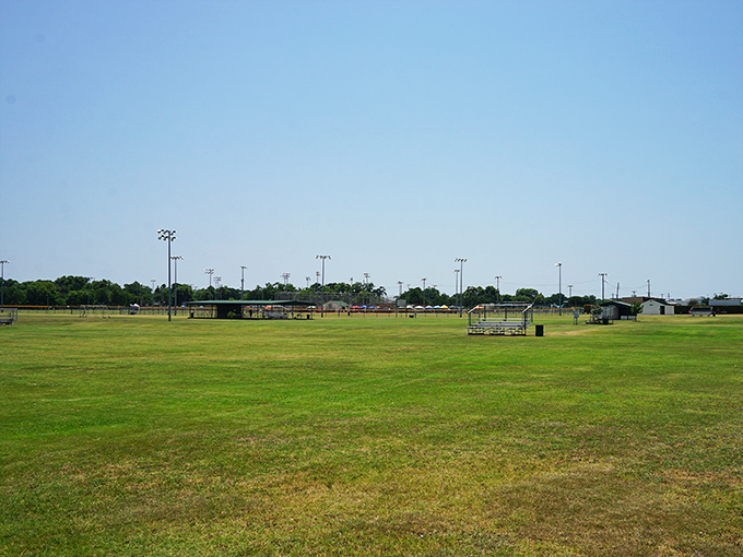 Lambert Branch Park's wide-open spaces invite everything from little league dreams to picnics where the grass becomes nature's dining table.