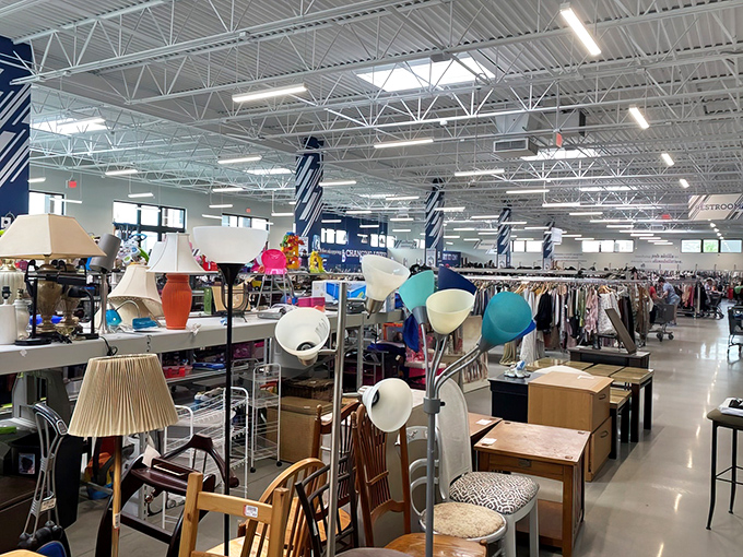 Lamp section looking like a lighting designer's fever dream &ndash; mid-century modern sits beside "what era was that from?" in perfect thrift store harmony. 