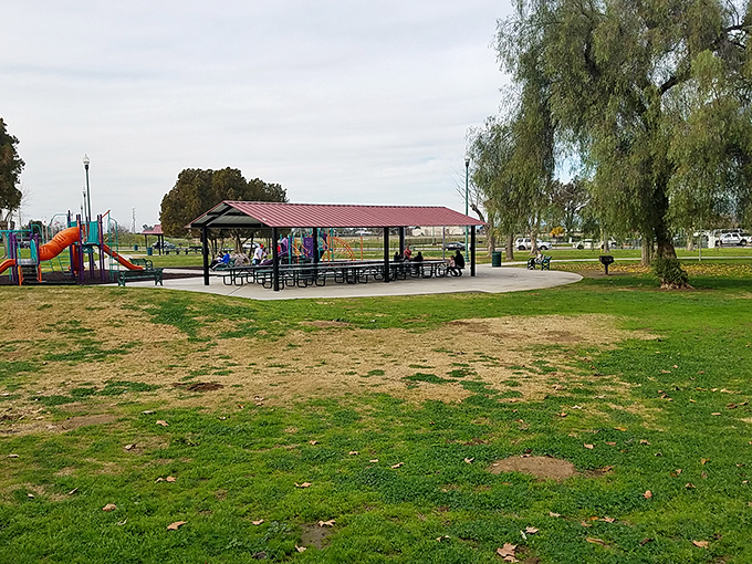 Lindsay City Park provides simple pleasures that expensive entertainment can't match. Picnic shelters host everything from family reunions to impromptu book club meetings.