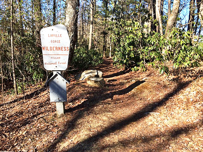 This unassuming sign marks the threshold between everyday life and wilderness wonder&mdash;your invitation to step into something extraordinary.