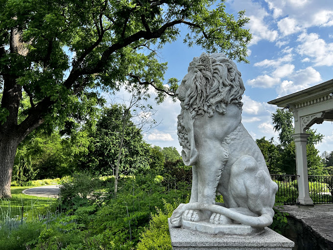 The king of the urban jungle, eternally vigilant. This stone lion has been photobombing family portraits for generations.