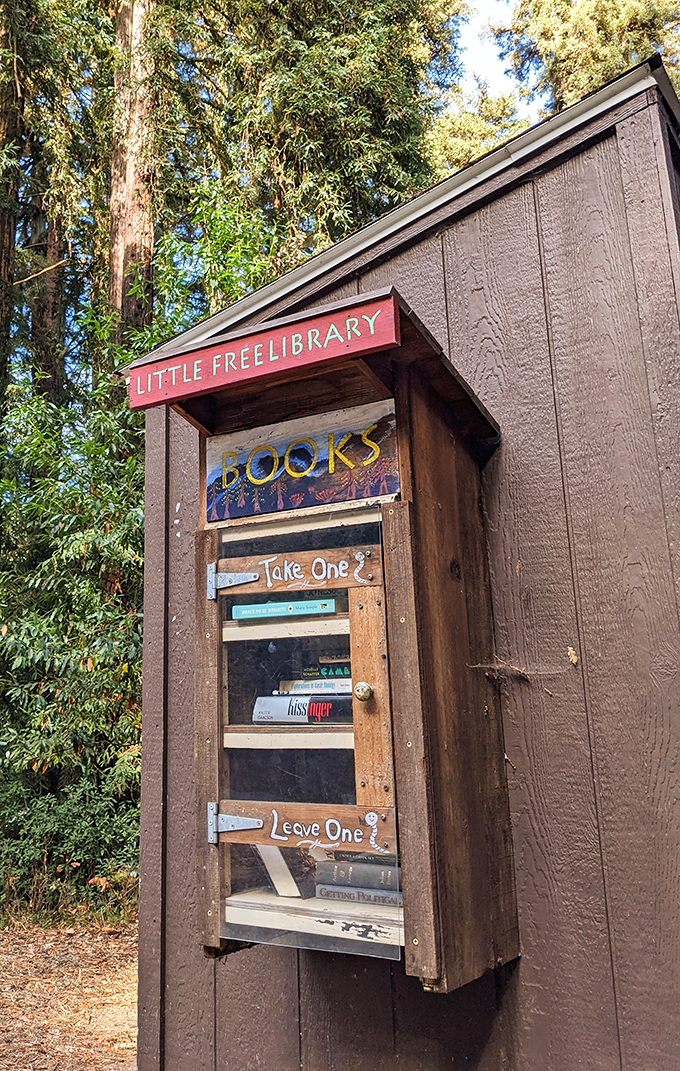 The Little Free Library&mdash;where hikers trade paperbacks and prove that even in the wilderness, bookworms find a way to share stories.