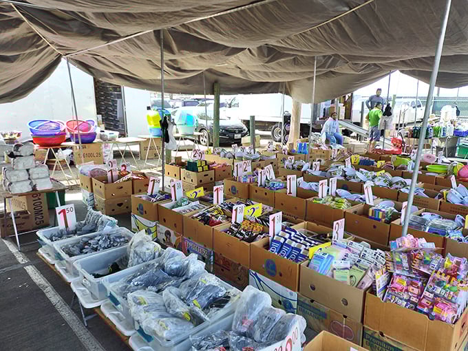 Budget-friendly finds that make your inner penny-pincher do a happy dance while your spouse rolls their eyes.