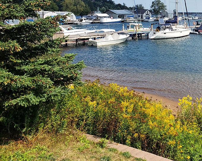 Summer marina life offers a glimpse of Marquette's recreational side, where boats await adventure and golden wildflowers frame Lake Superior's brilliant blue.