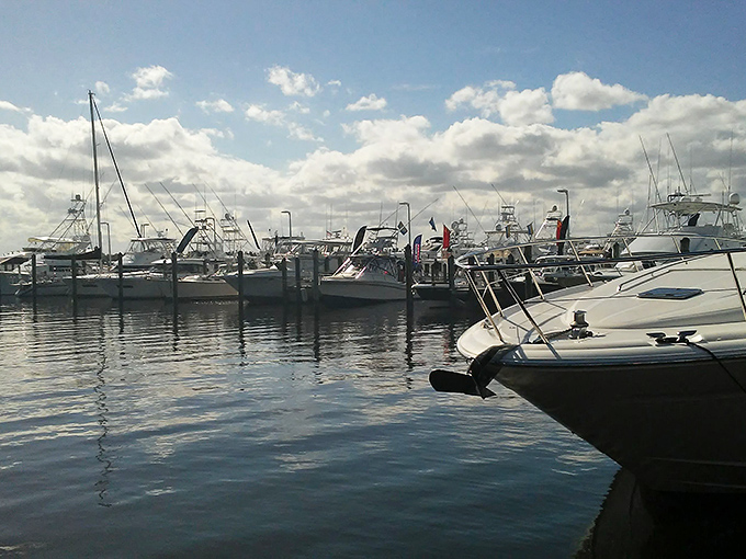 Stuart's marina showcases floating dreams of various budgets, from "maybe someday" yachts to "reasonable midlife crisis" fishing boats.