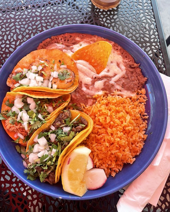 Three perfect tacos, arranged like edible artwork on a blue canvas plate—a trilogy more satisfying than most Hollywood blockbusters.