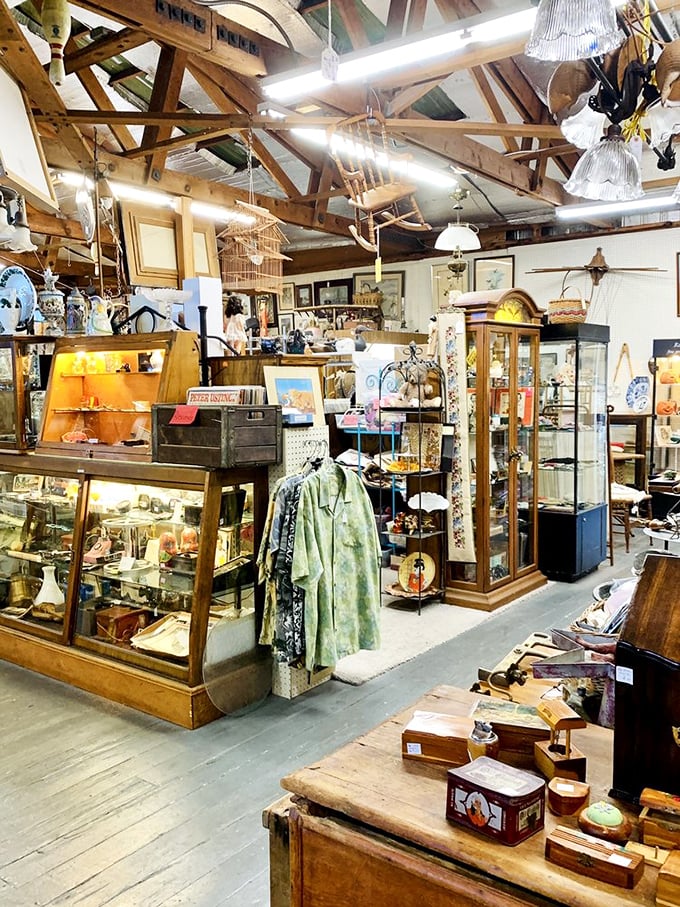 The exposed beam ceiling creates a barn-like gallery where vintage display cases house treasures within treasures. It's antique inception!