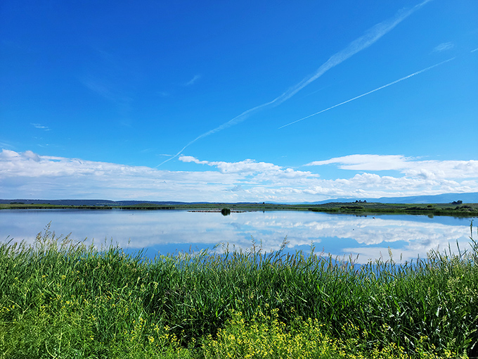 The Modoc National Wildlife Refuge mirrors sky and mountain in perfect symmetry, nature's version of a meditation app without the subscription fee.
