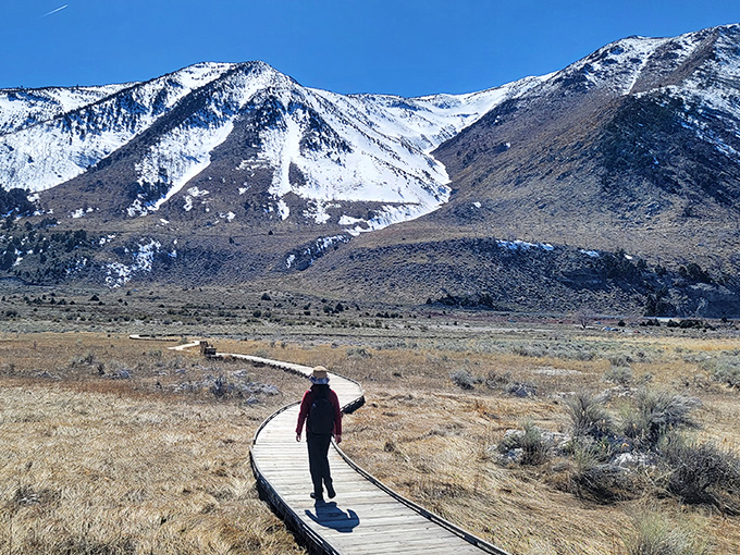 The David Gaines boardwalk guides visitors through the basin's fragile ecosystem, named for the teacher who championed Mono Lake's protection.