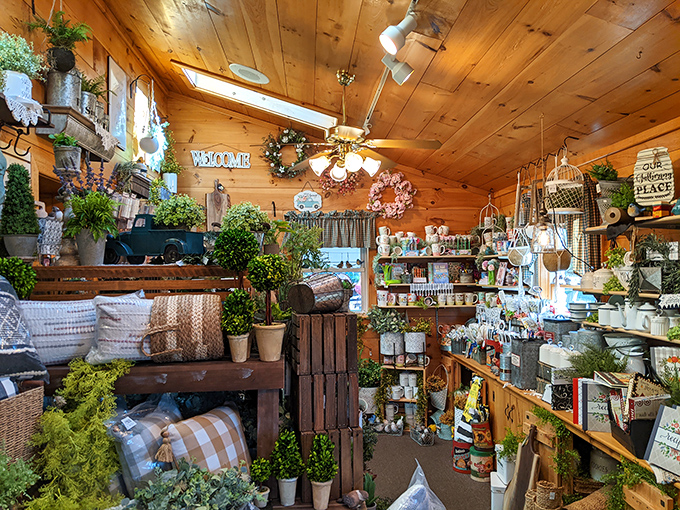 Charming decorative touches create the cozy atmosphere where every visit feels like coming home.