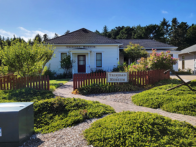 Trinidad Museum preserves local maritime heritage in this charming white cottage surrounded by carefully tended gardens.