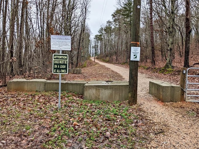 Trails like this don't just lead somewhere; they lead you back to yourself. Nanny's Mountain Trail promises adventure with every step.