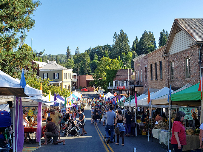Local farmers market transforms downtown into a vibrant community living room where conversations flow as freely as the fresh produce.
