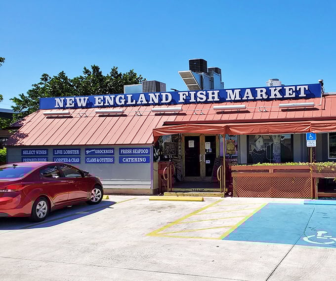 New England Fish Market brings northern seafood traditions south, proving good taste knows no geographical boundaries. Maine, meet Florida—you two should talk.