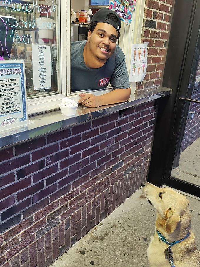 The pass-through window&mdash;that magical portal where kitchen chaos transforms into orderly plates of deliciousness.