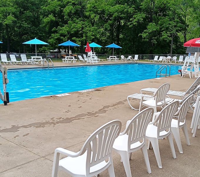 The pool offers a refreshing compromise for families split between wilderness warriors and those who prefer their water chlorinated and chair-adjacent.