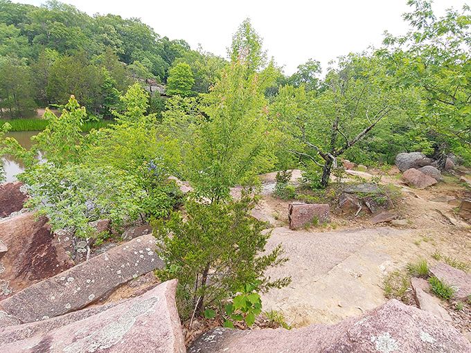 Spring brings new growth among ancient stones, the young trees seemingly determined to soften the edges of this billion-year-old landscape.