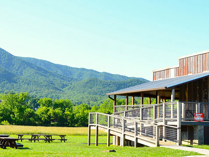 The outdoor seating area offers mountain views that fancy restaurants would charge an extra $50 for, paired perfectly with fresh air and no pretension.