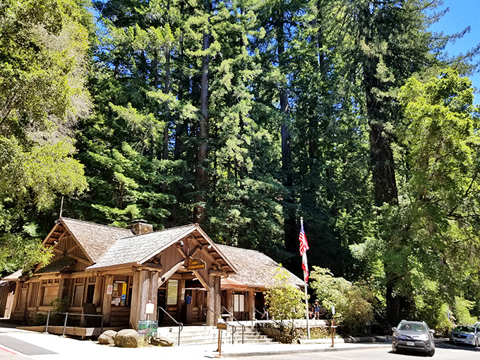 The park headquarters blends harmoniously with its towering neighbors. This rustic outpost of civilization serves as gateway to wilderness experiences that no virtual reality can match.