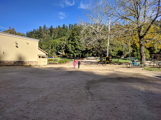 Open spaces provide a breather between forest immersions. Sometimes you need to step back to appreciate the green walls surrounding you.