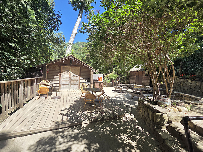 Dappled sunlight plays across this outdoor sanctuary where cold drinks and hot conversations flow equally under the canopy of oak trees.