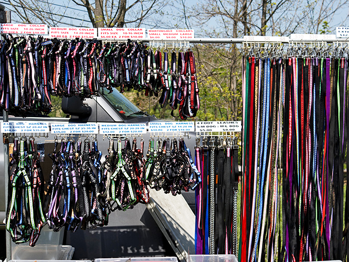 Leashes and collars in every conceivable color and pattern. Because why should humans have all the fun accessorizing for their morning walks?