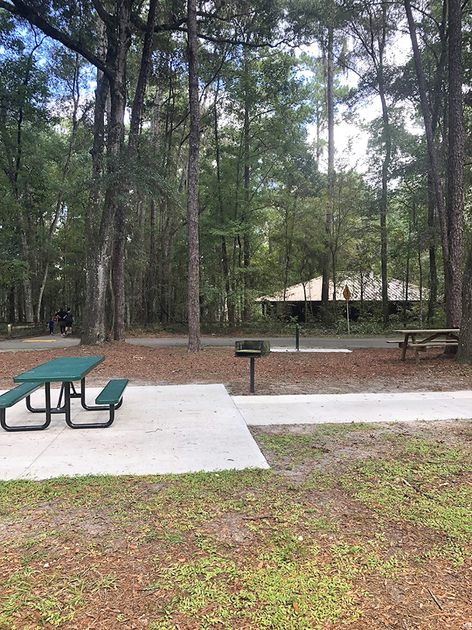 Even picnic tables look more inviting when surrounded by towering pines. The perfect spot for a sandwich break before tackling those 232 stairs.