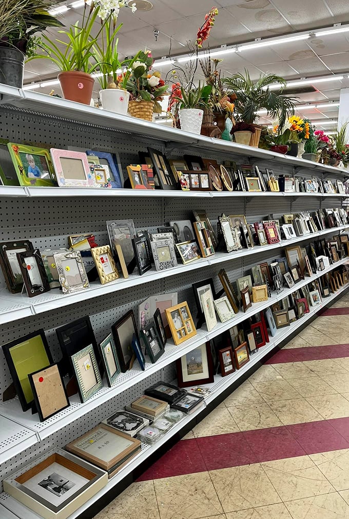 The frame department: where your memories get dressed for success. Top shelf: artificial greenery for those lacking a green thumb.