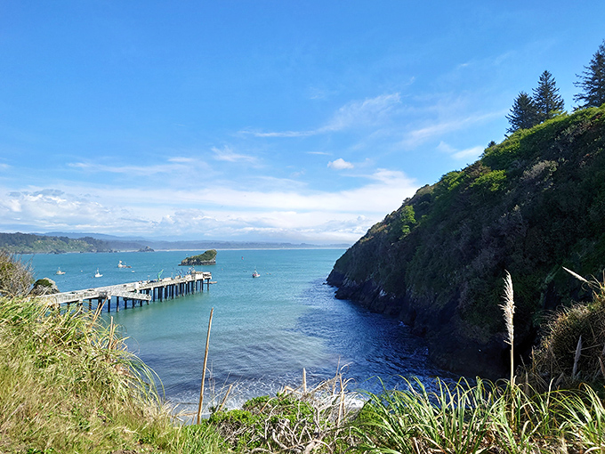 This isn't just a pier&mdash;it's Trinidad's handshake with the ocean, extending into waters so blue they make the sky look like it's not really trying.