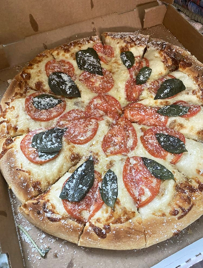 A Margherita pizza so beautiful it belongs in an art museum, but tastes too good to preserve.
