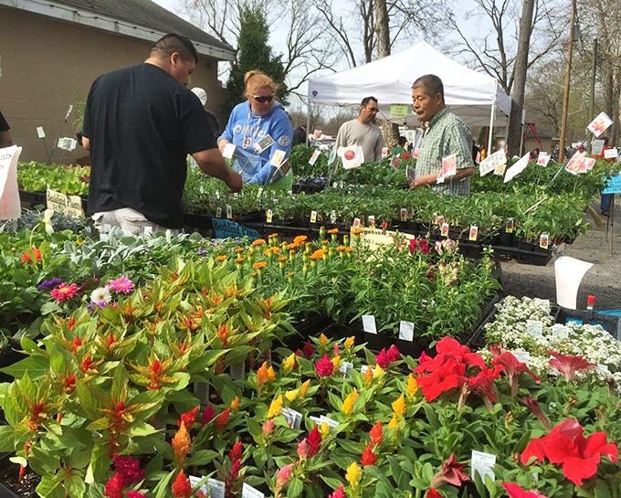 Green thumbs unite! These plants are ready for their second act in your garden.