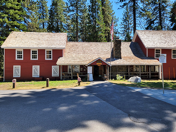 The museum tells tales of fortune seekers who'd make today's crypto investors look conservative.