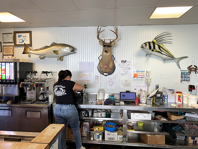 Behind the scenes, mounted fish keep watch over the operation, silently approving of how their ocean cousins are prepared.