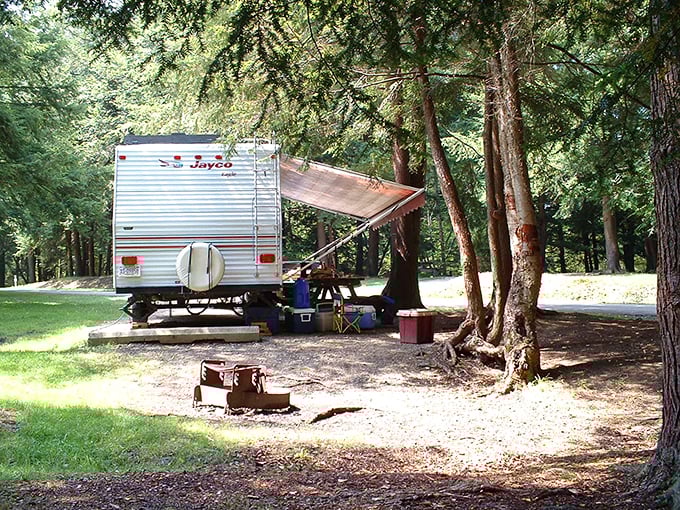 RV camping: where "getting away from it all" includes bringing half your house with you. This shaded spot offers the perfect balance of wilderness and comfort.