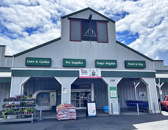 Rainbow Ag Market proves that garden supply stores in wine country somehow manage to be more charming than boutique hotels in major cities.