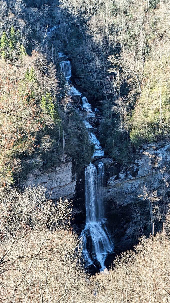 Raven Cliff Falls cascades dramatically through winter's bare branches. Water has never looked so determined, carving its path through solid rock over countless millennia.