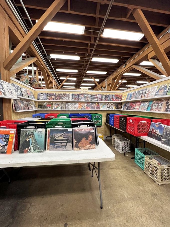 
Vinyl heaven for analog souls. These records aren't just music; they're time travel devices with their own built-in crackling soundtrack. 