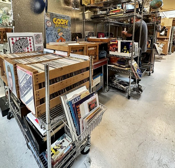 Vinyl enthusiasts can spend hours flipping through musical history. Each record sleeve is a portal to another era's soundtrack.