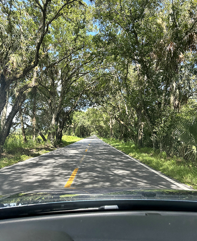 The driver's perspective reveals the hypnotic effect of the road stretching before you, drawing you deeper into Old Florida's embrace.