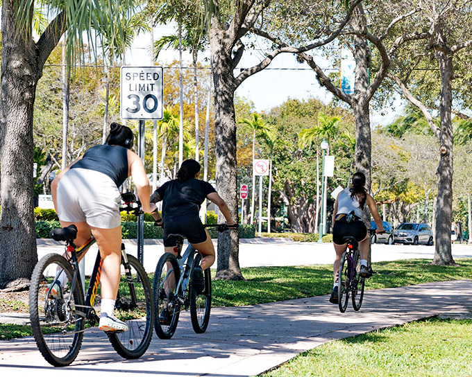 Cycling is practically the official sport of Key Biscayne, where the speed limit signs are more like gentle suggestions for cars to match the bike pace.